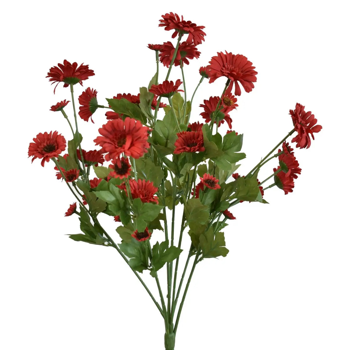 19” Gerbera Daisy Bush - Red – Sugar N Milk Co